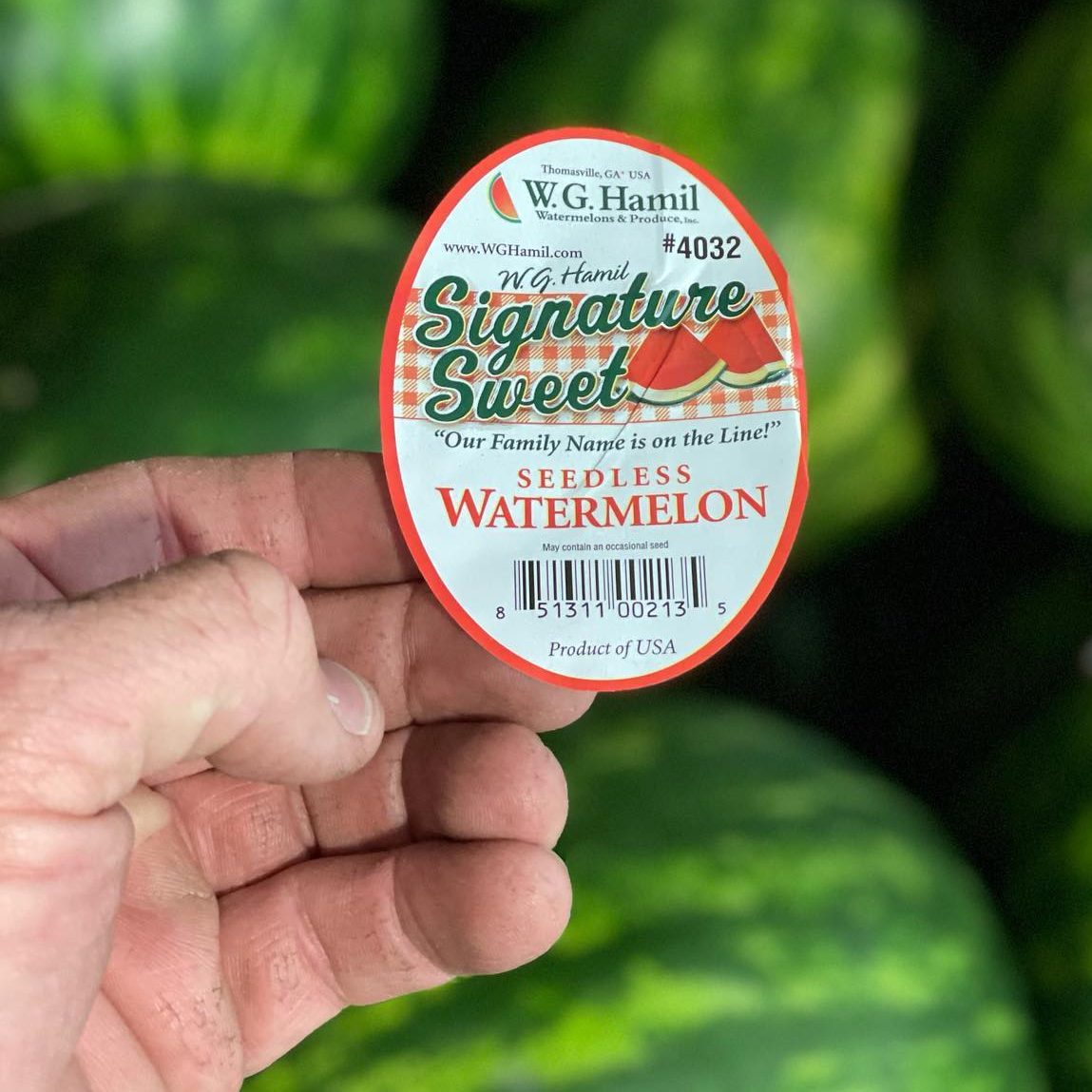 Home - W.G. Hamil, LLC